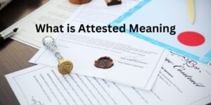 Attested Meaning | Self Attested Meaning | Attest Meaning